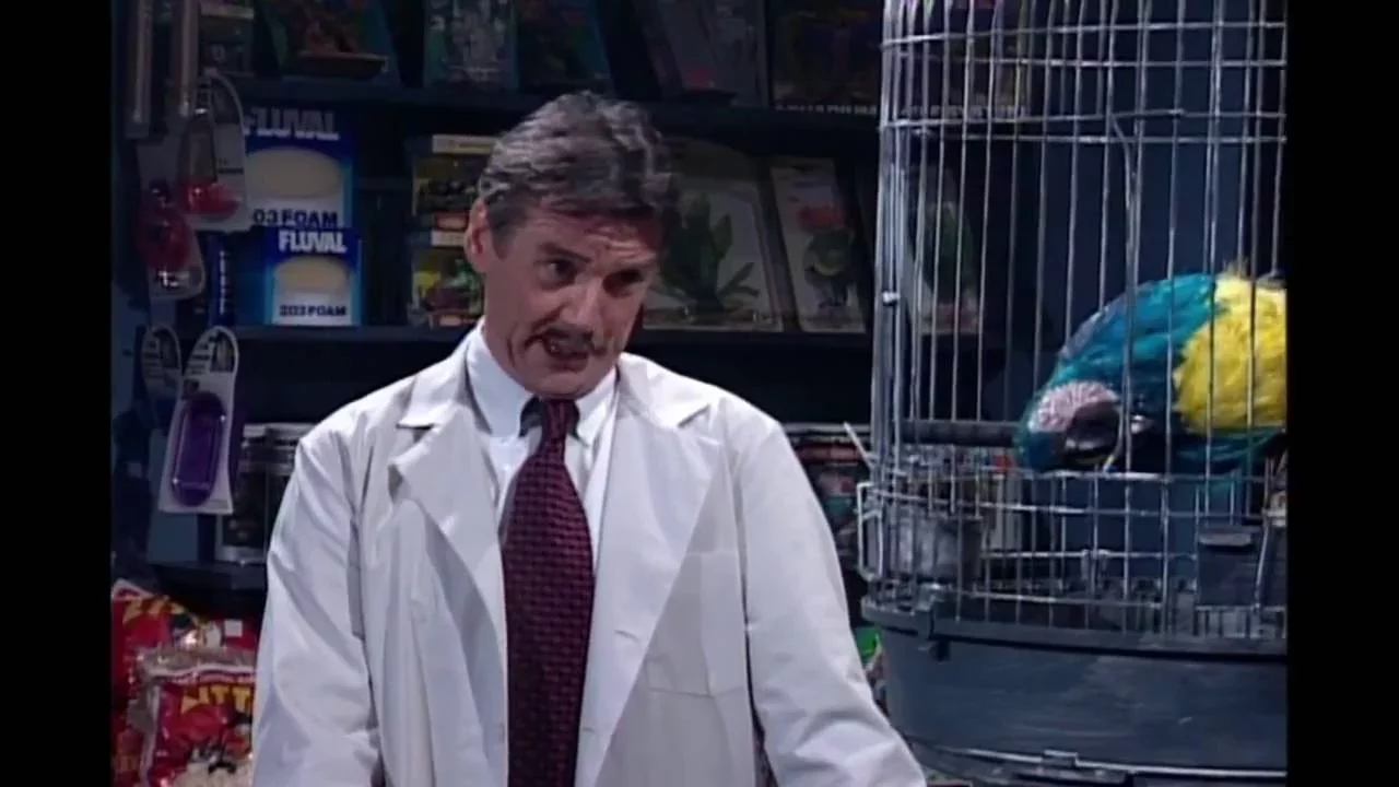Dead Parrot - Monty Python's Flying Circus 1969 | SketchTV.lol
